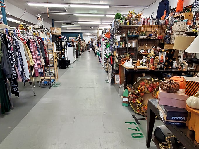 New signage can't hide the vintage soul of this Colorado Springs institution. Your grandmother would approve of these neat, orderly displays.