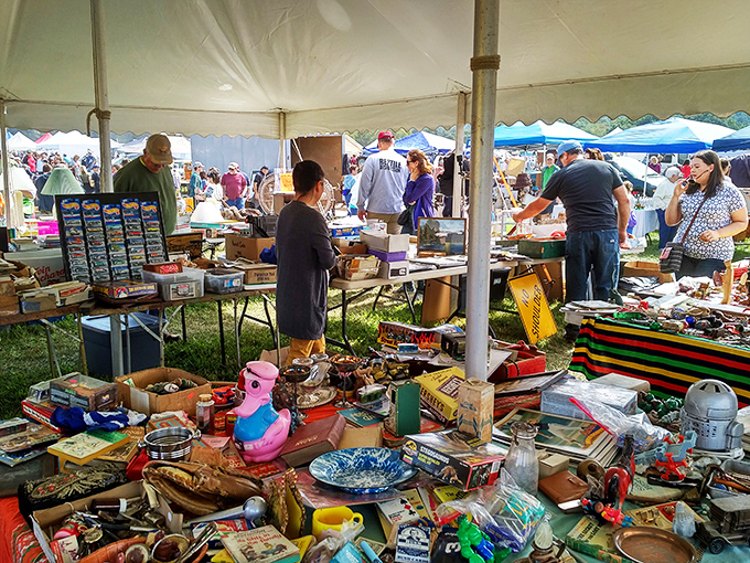 Stormville Airport Antique Show & Flea Market (Stormville): Organized chaos under open skies. Some people leave airports with souvenirs&mdash;here, you leave with someone else's history reimagined as your future.