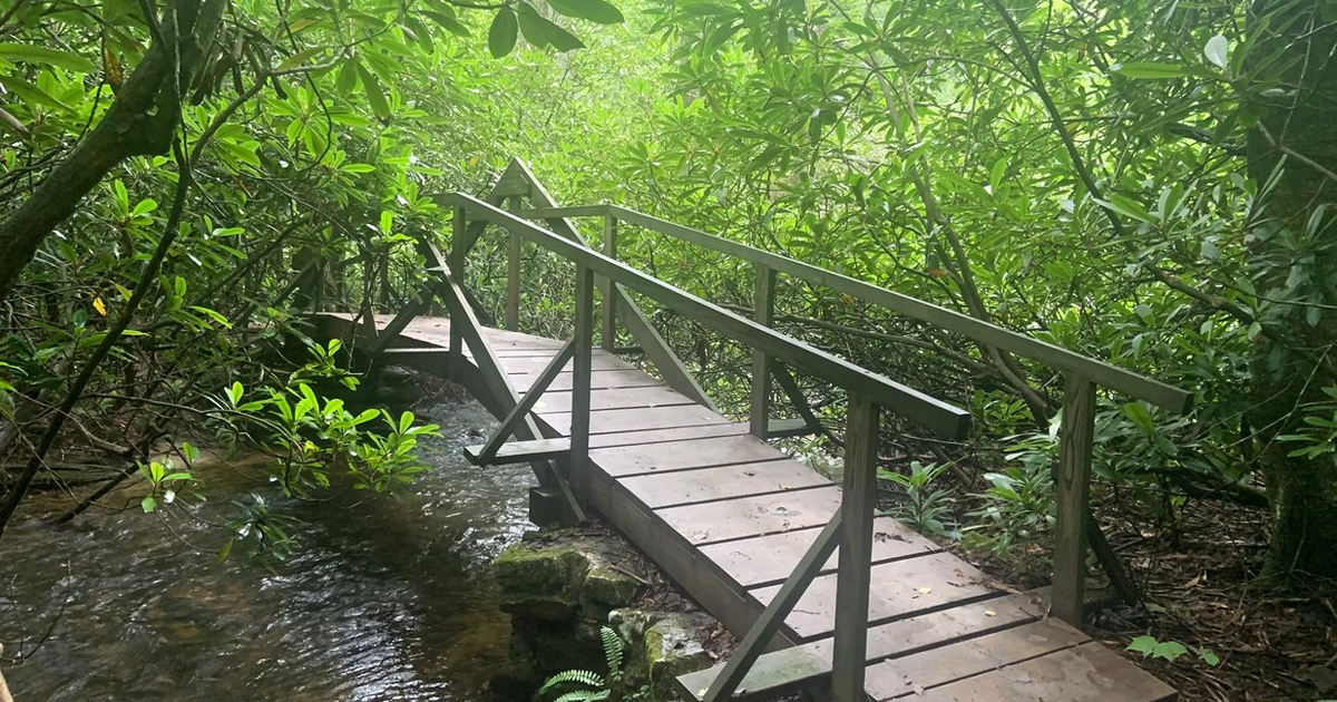 the short and easy hike in pennsylvania that&rsquo;s almost too beautiful to be real