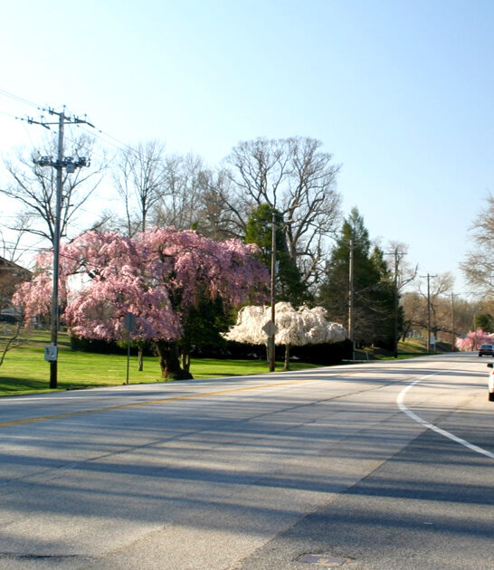 adventure scenic drive delaware ftr