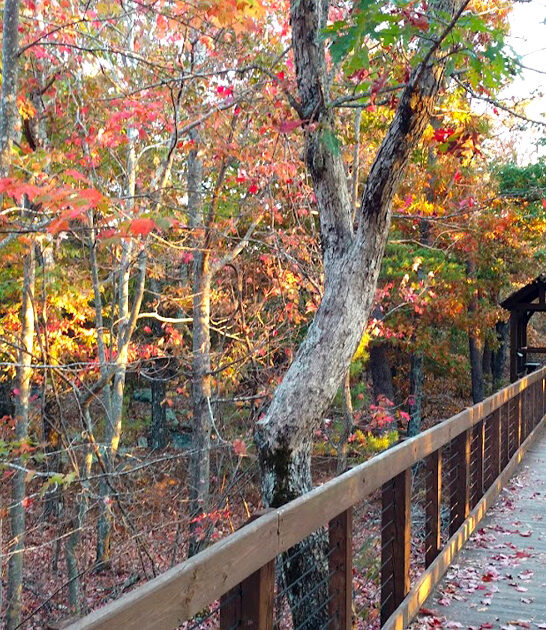 alabama picturesque state parks ftr