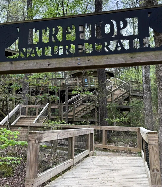 alabama picturesque trail ftr