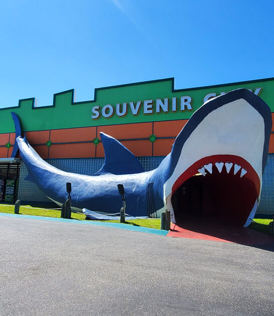 alabama rare treasure shop ftr