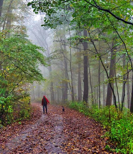 alabama secret state park ftr