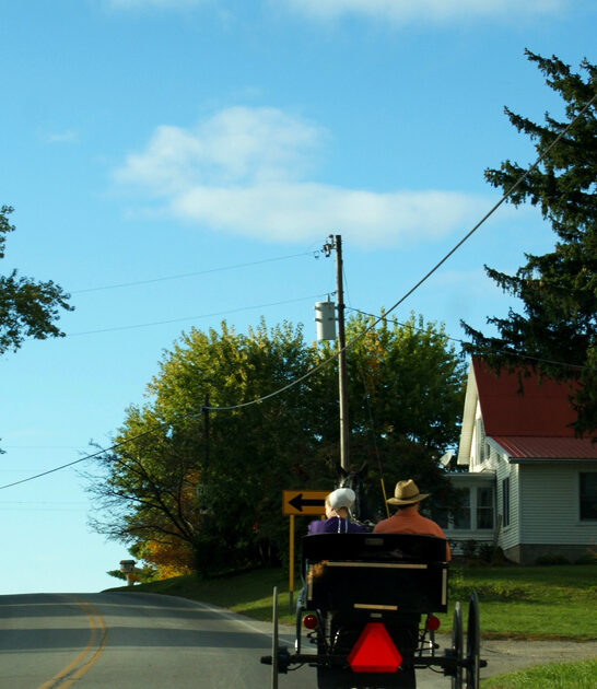 amish town ohio food ftr