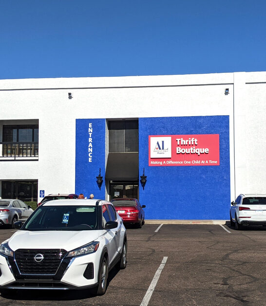 arizona bargain hunters store ftr