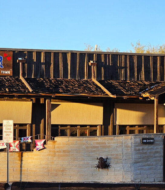 arizona prime ribs spring ftr