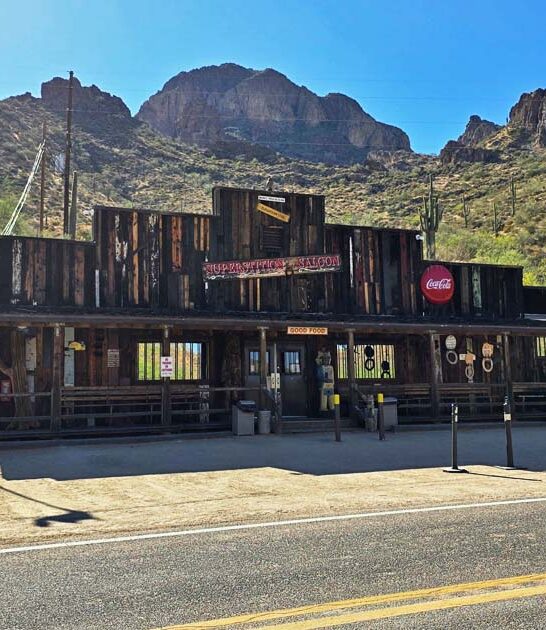 arizona root beer restaurant ftr