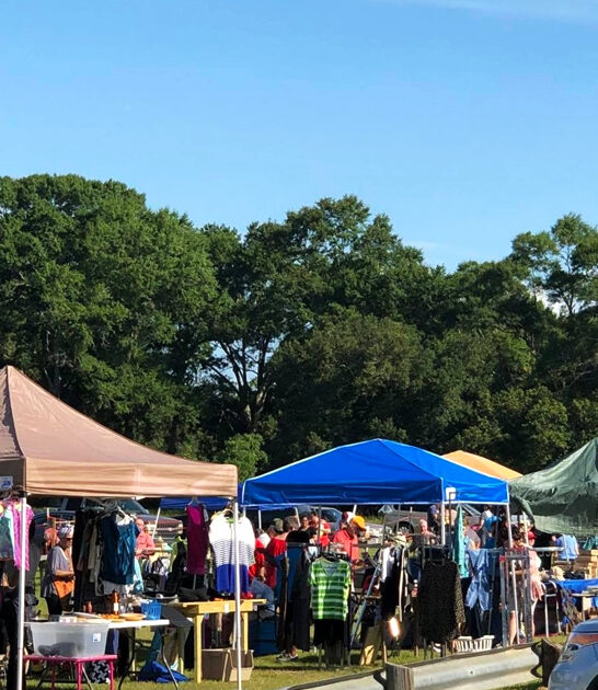 bargain hunting bazaars louisiana ftr