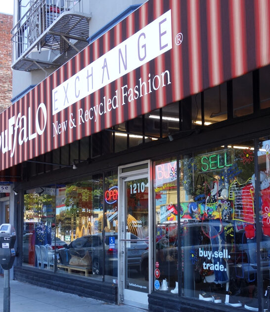 bargain stores enormous california ftr