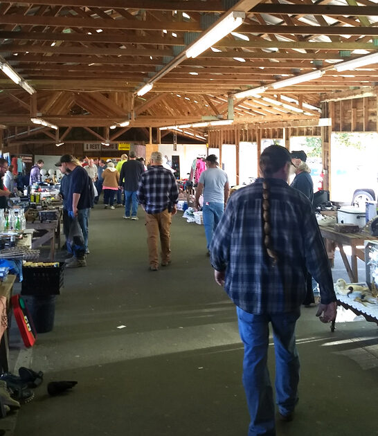 bazaar north carolina enormous ftr