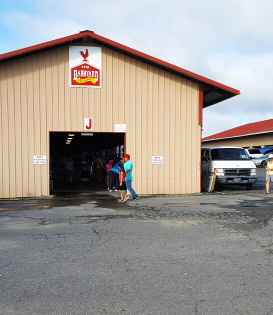 bazaars south carolina enormous ftr