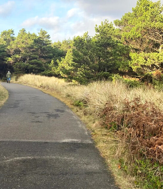 beautiful nature getaway oregon ftr