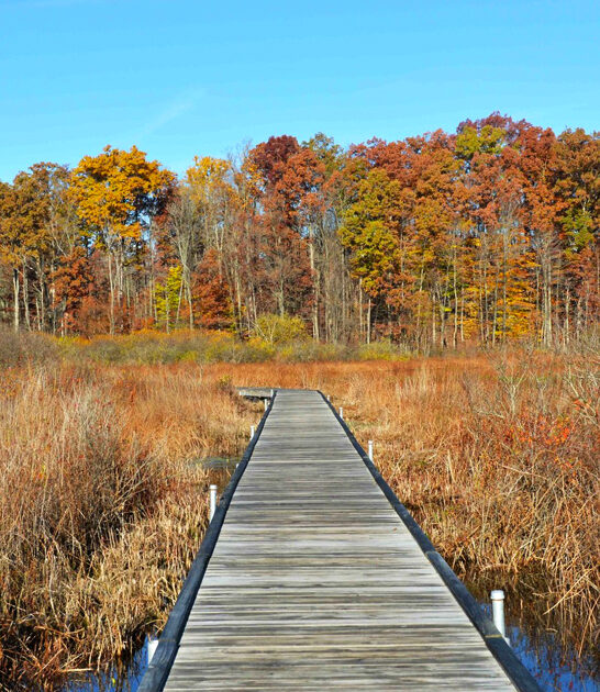 beautiful nature park ohio ftr