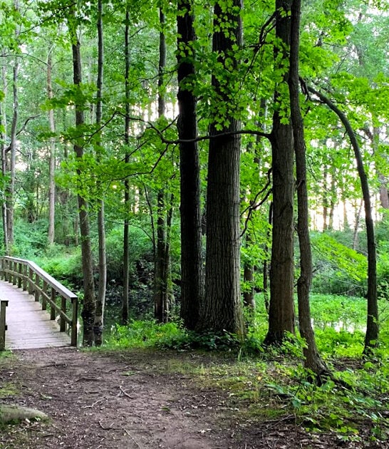 beautiful new york park ftr