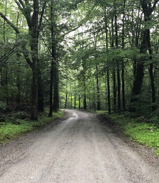 beautiful view park connecticut ftr