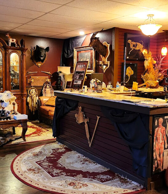 beautifully bizarre north carolina ftr