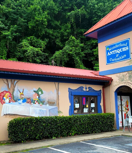 beautifully bizarre store georgia ftr