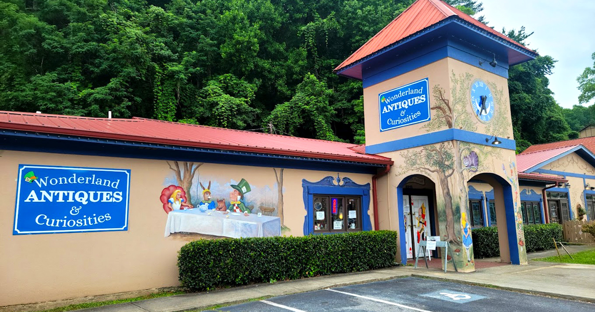 The Beautifully Bizarre Oddity Store In Georgia With The Strangest And ...