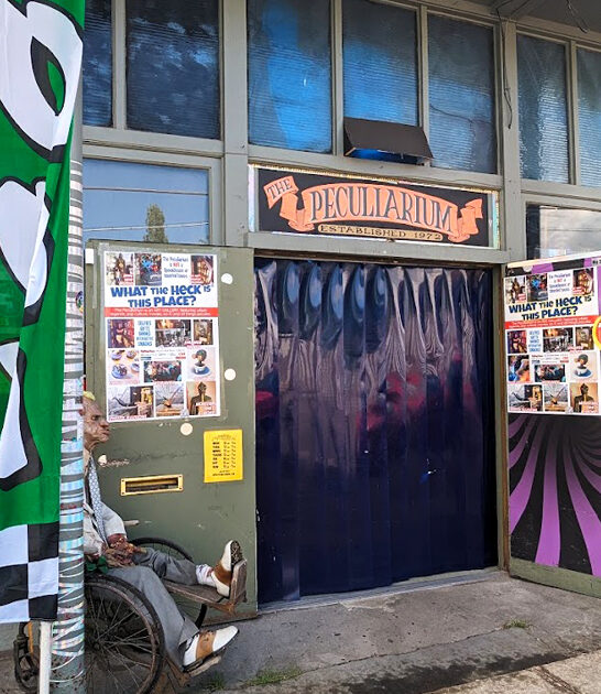 beautifully oddity store oregon ftr