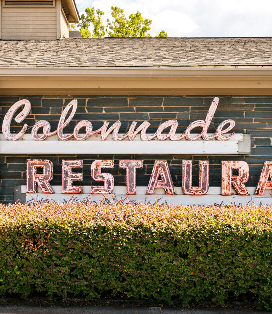 best georgia chicken ftr