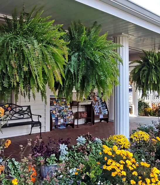 best rolls north carolina ftr