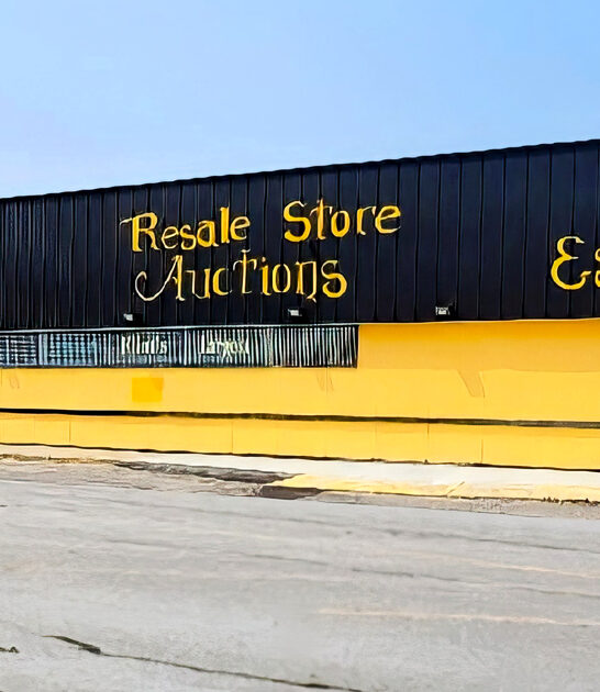 big michigan thrift stores ftr