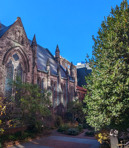 bizarre anatomy museum pennsylvania ftr