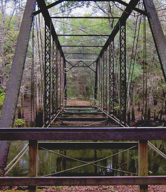 bizarre bridge florida ftr