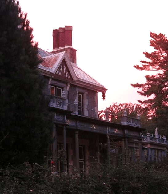 bizarre mansion delaware ftr