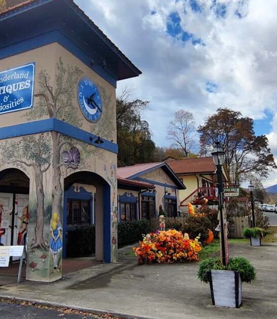 bizarre oddity store georgia ftr