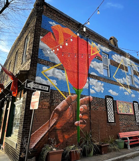 bizarre oddity store maryland ftr