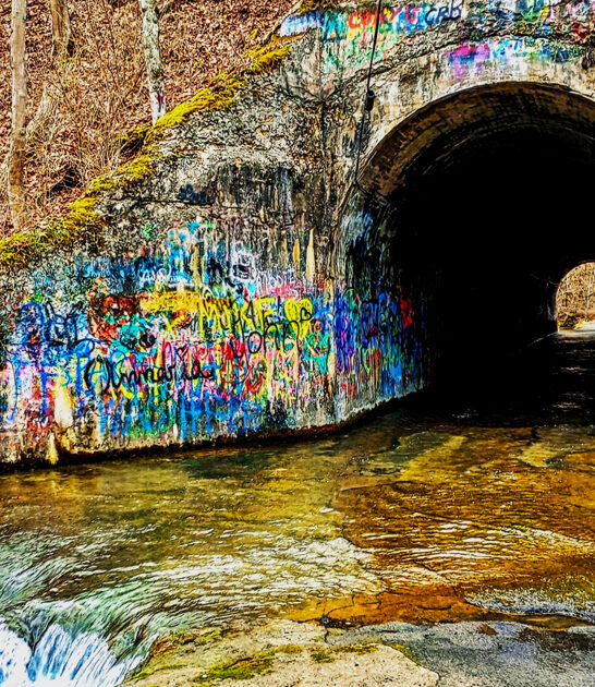 bizarre tunnel tennessee ftr