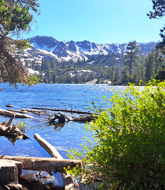 california 6000 acre park ftr