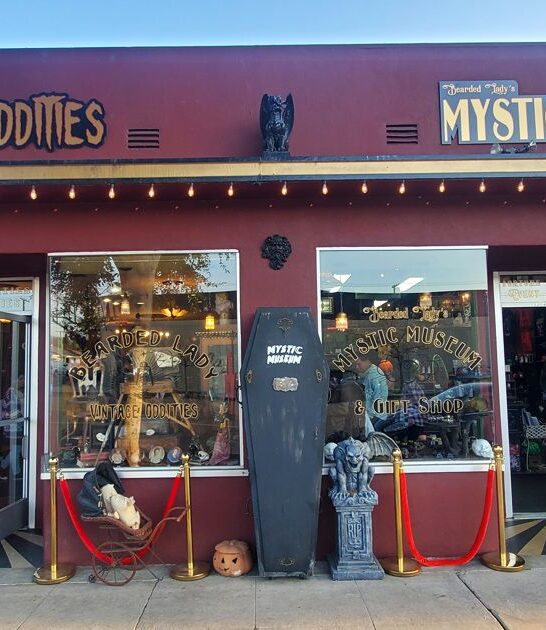 california bizarre treasure store ftr