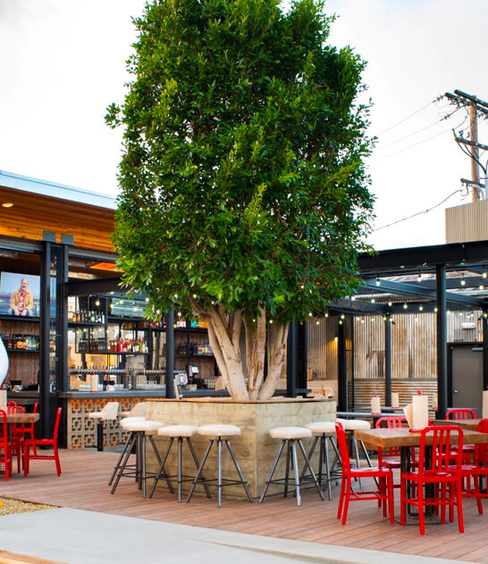 california delicious fried chicken ftr