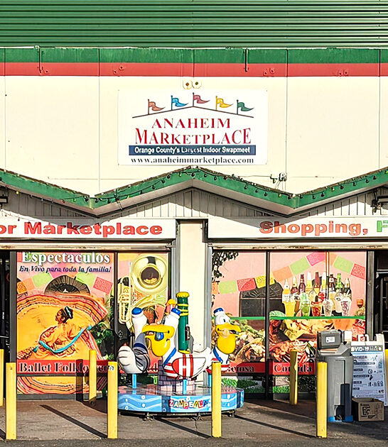 california enormous indoor flea ftr