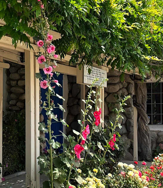 california mouth watering soup ftr