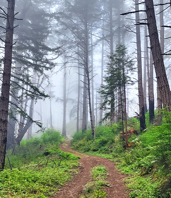 california secret state park ftr