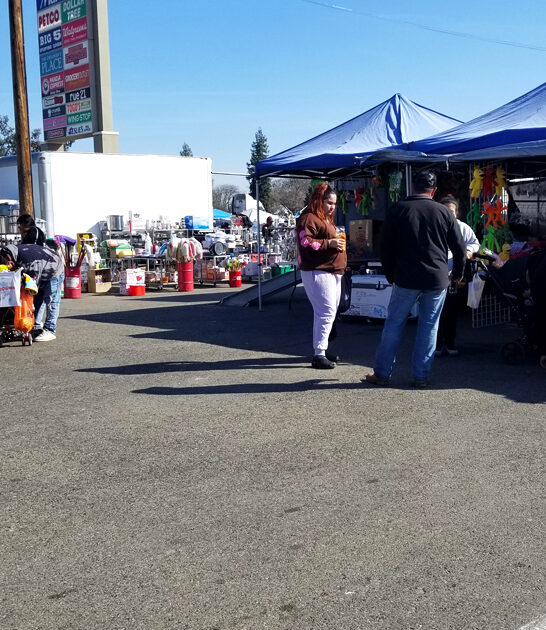 california treasures swap meet ftr
