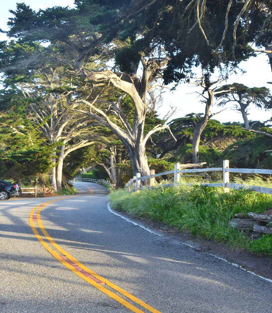 california trip scenic route ftr