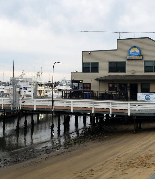 california unassuming crab cakes ftr