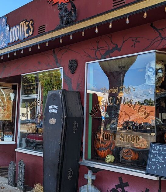 california uncommon treasure shop ftr