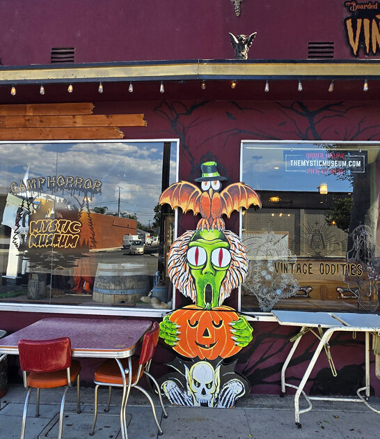 california weird curiosity shop ftr