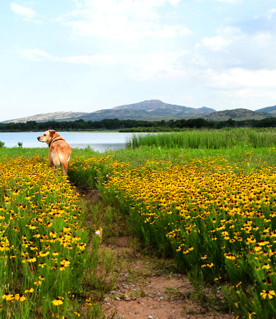 campground oklahoma perfect escape ftr