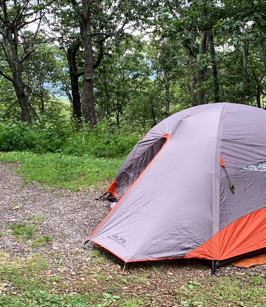 campground virginia spring break ftr