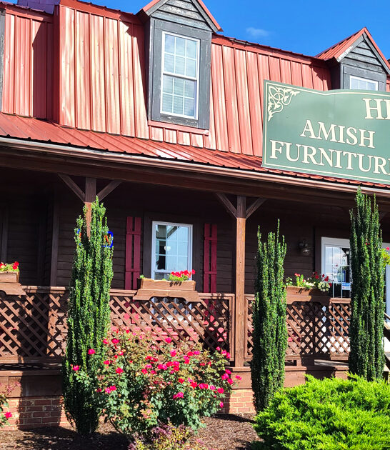 cinnamon rolls virginia bakeshop ftr