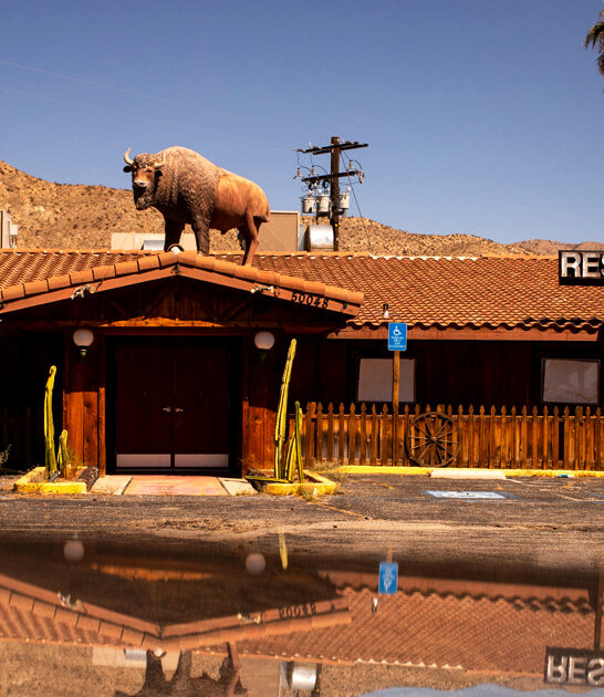 classic italian california spaghetti ftr