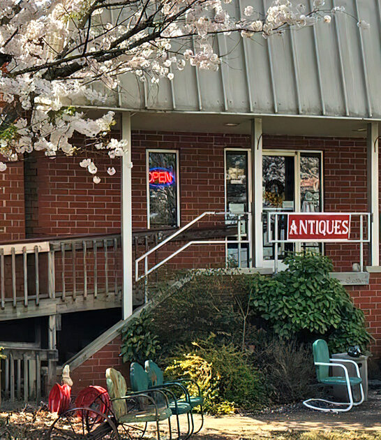 collectibles north carolina store ftr