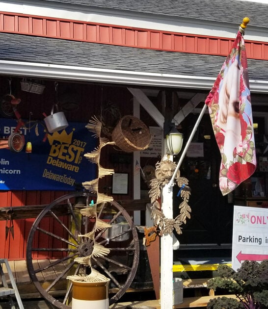 collectibles store delaware wonderland ftr
